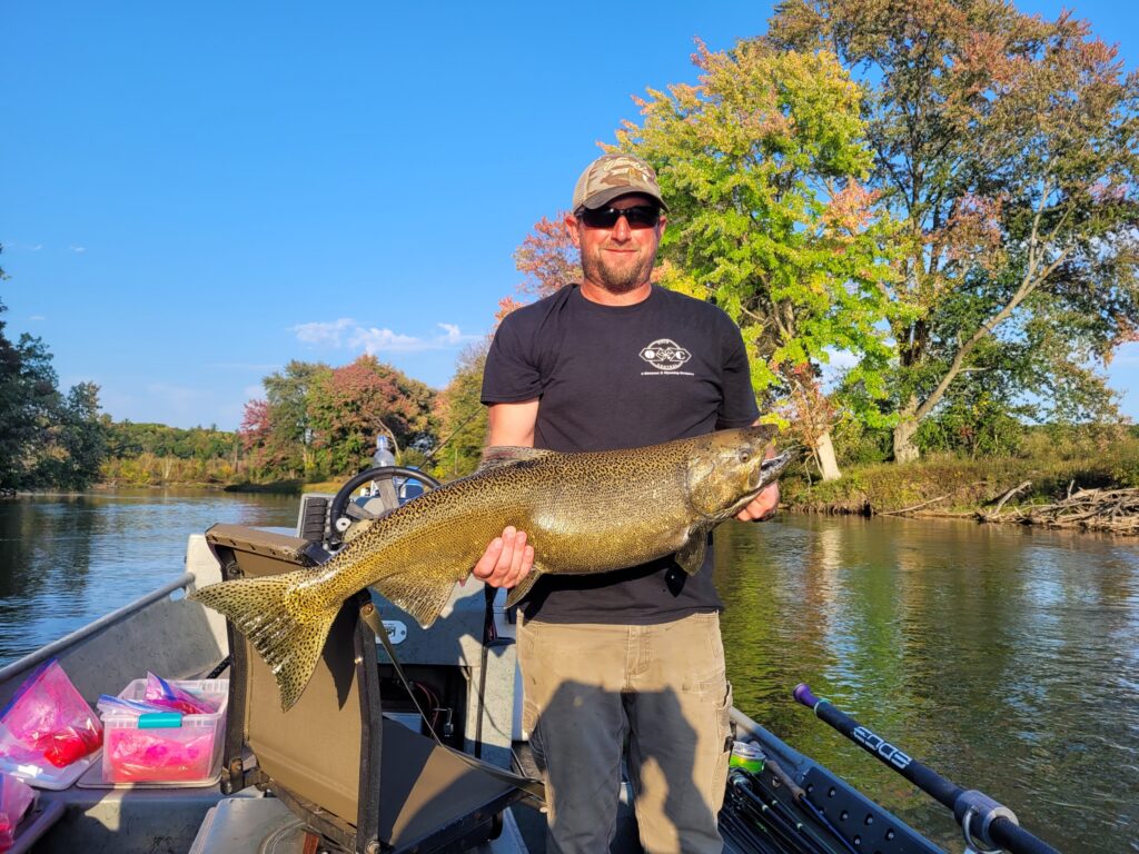 Big Manistee River Salmon Fishing Adventures Continue: | Schaub Outfitters